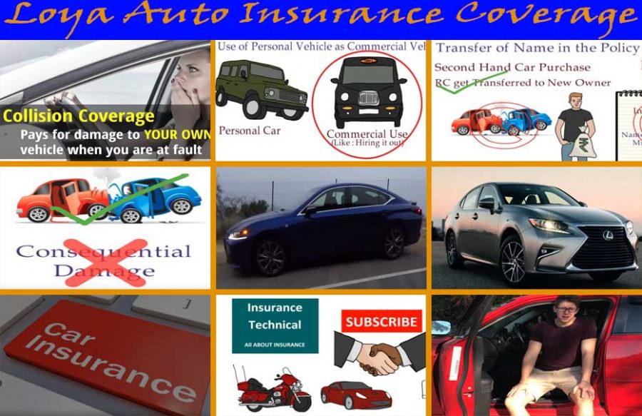 Loya Auto Insurance Coverage | From Texas, Cheap Coverage For You Today!